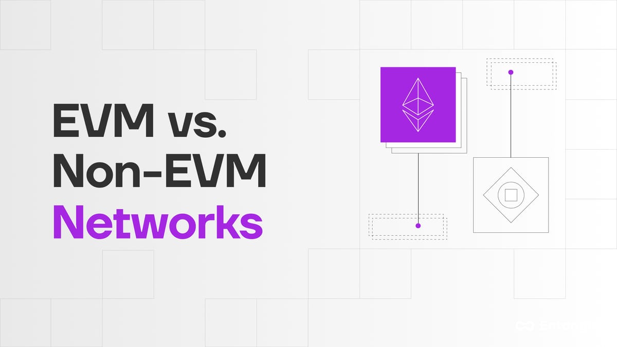 EVM vs Non-EVM: New Environments, New Opportunities EVM vs Non-EVM: New Environments, New Opportunities