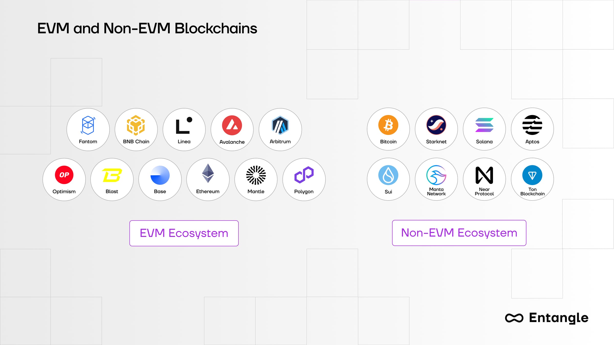 EVM vs Non-EVM: New Environments, New Opportunities EVM vs Non-EVM: New Environments, New Opportunities